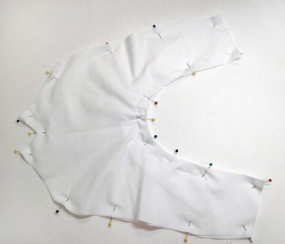 DIY Doggedly-Dandy Dog Cape - WeAllSew