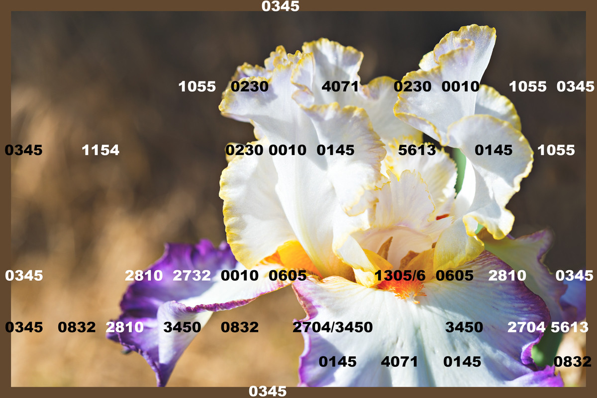 In The Loop—Introduction to Thread Painting - WeAllSew