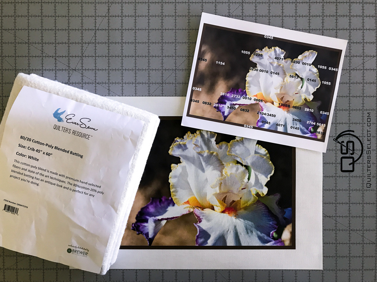 In The Loop—Introduction to Thread Painting - WeAllSew