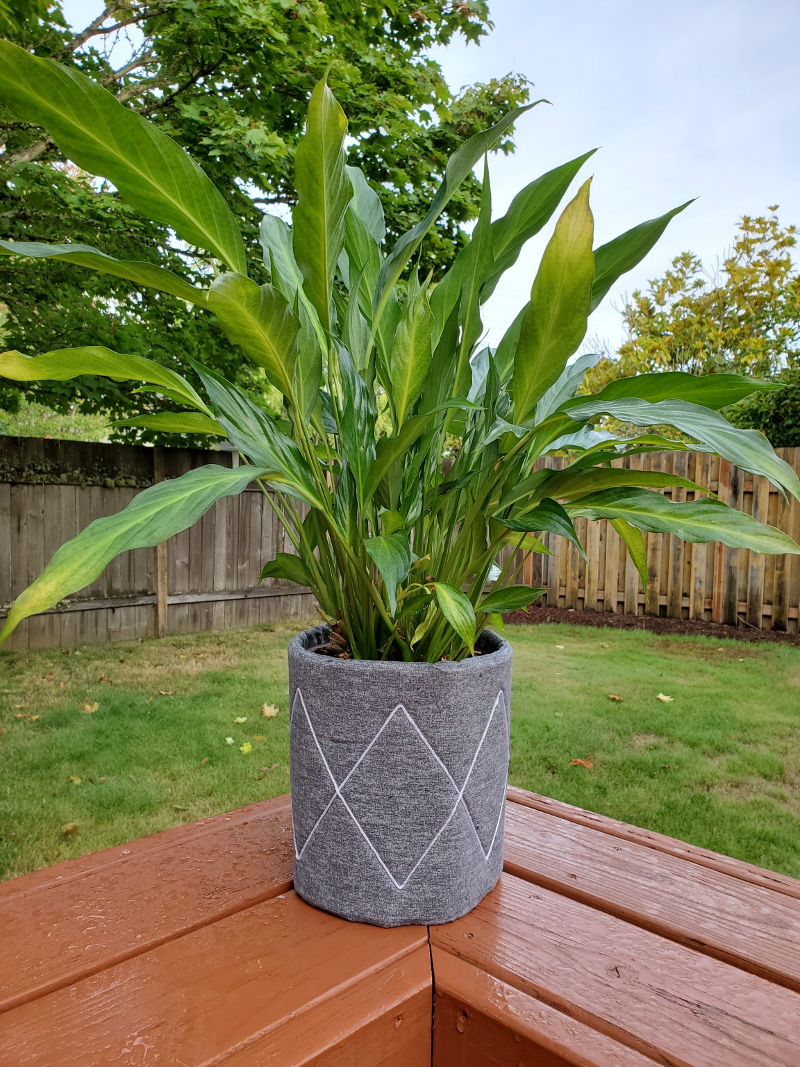 Tutorial: How to Sew a Flower Pot Wrap - WeAllSew