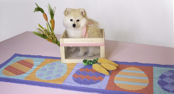 WeAllSew - BERNINA USA’s blog, WeAllSew, offers fun project ideas ...