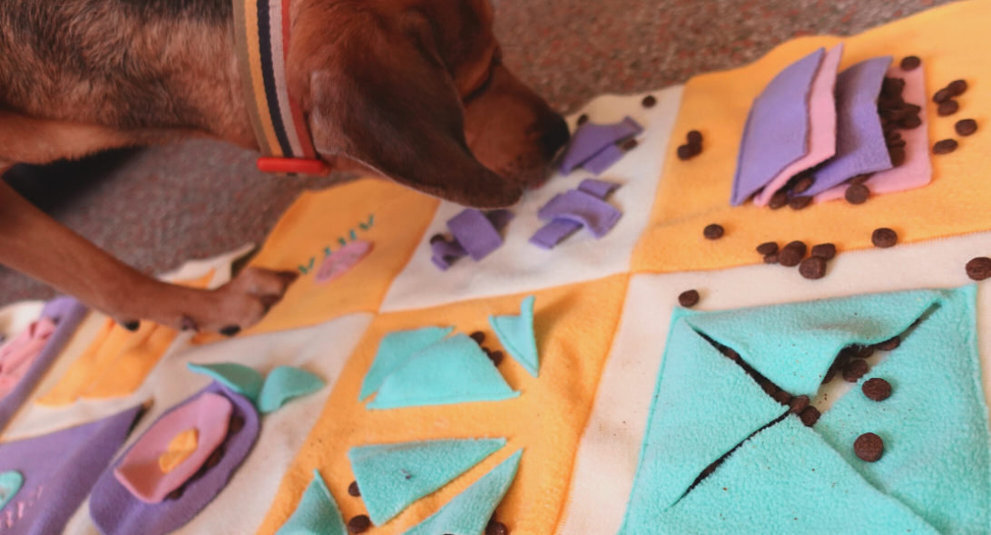 Sew your own snuffle mat featured image - WeAllSew