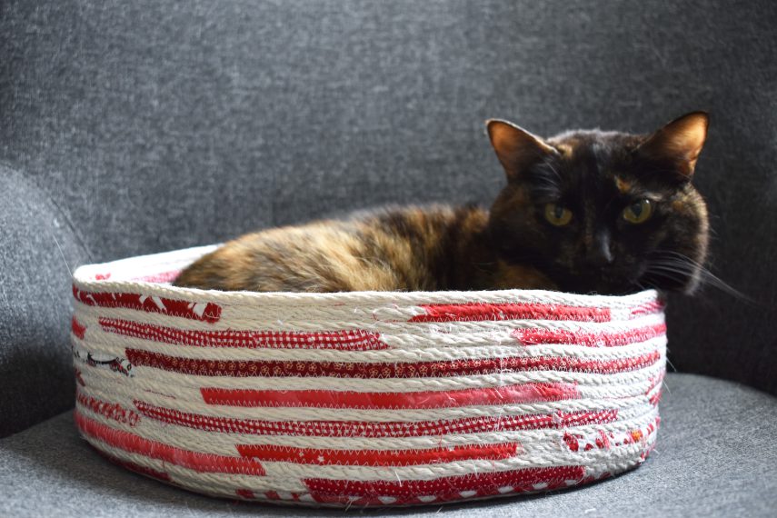 How to Make a Coiled Rope Cat Basket - WeAllSew