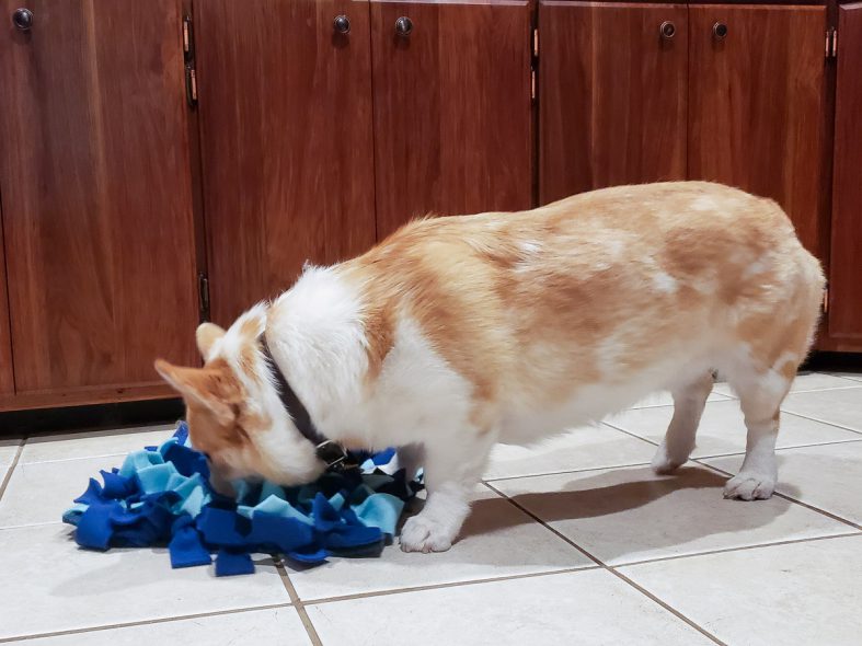 XTRA-Ruby3 - WeAllSew